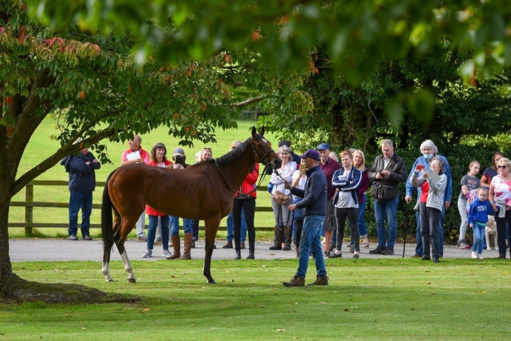 highfield-princess - John Quinn Racing