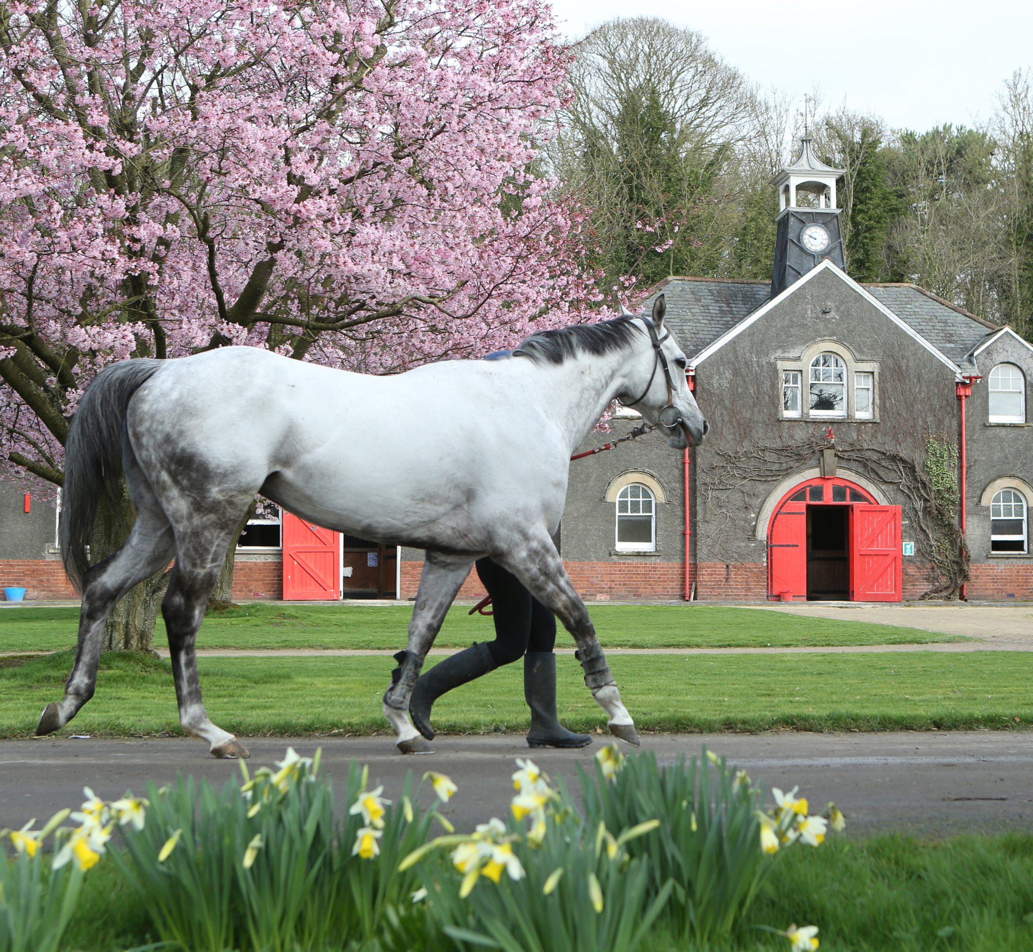 new-highfield-stables-facilities - John Quinn Racing
